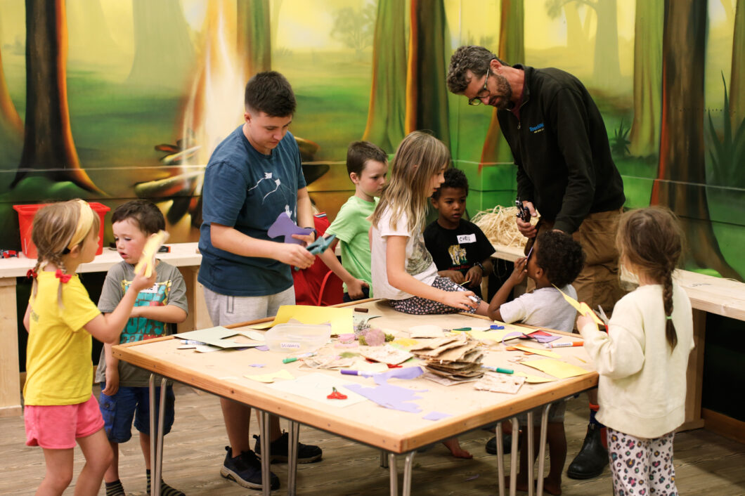 Wild Things Play Project - Kids Birthday Parties in Plymouth